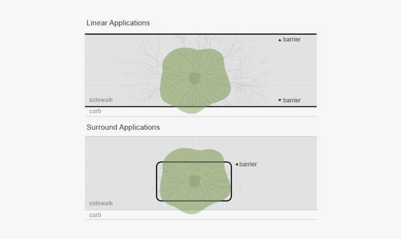 Deep Root Tree Root Barrier