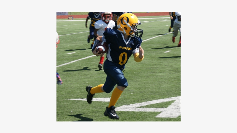 O'fallon Little Panther Spirit Wear - Sprint Football - Free ...