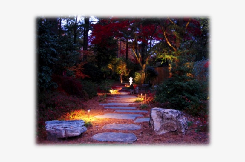 Tree Lighting Techniques - Landscape Lighting - Free Transparent PNG ...