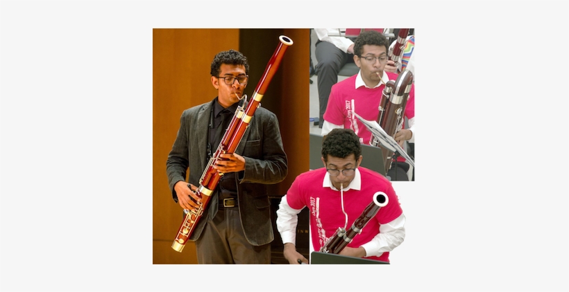 Bassoon - Free Transparent PNG Download - PNGkey