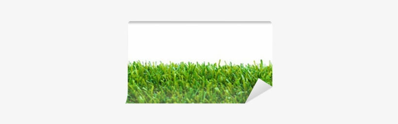 Lawn - Free Transparent PNG Download - PNGkey