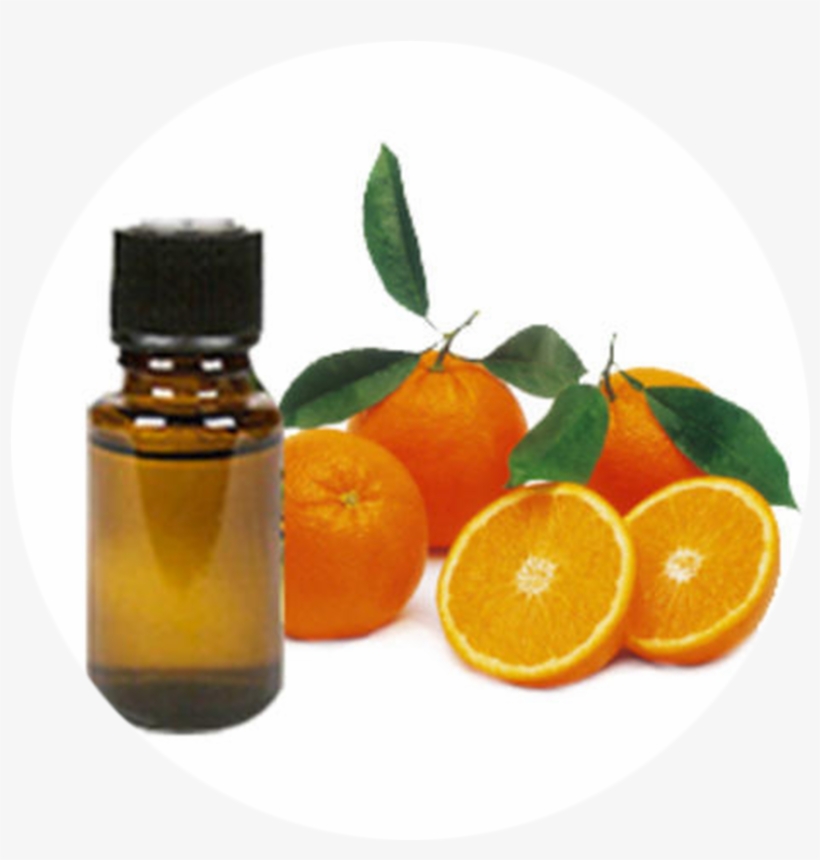 Orange Oil - Free Transparent PNG Download - PNGkey