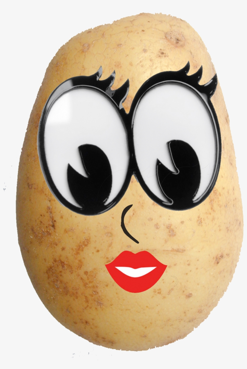 Clipart Resolution 1047*1514 - Portable Network Graphics - Free ...