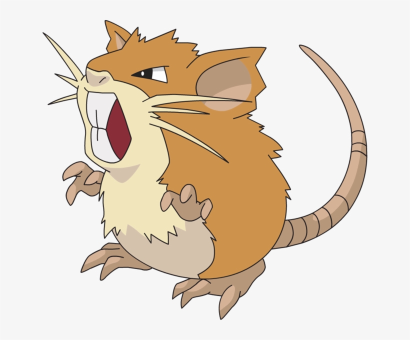Raticate - Pokemon Raticate - Free Transparent PNG Download - PNGkey