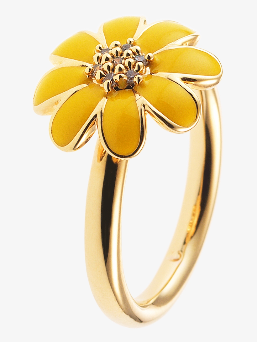 Daisy Enamel Ring Yellow - Ring - Free Transparent PNG Download - PNGkey