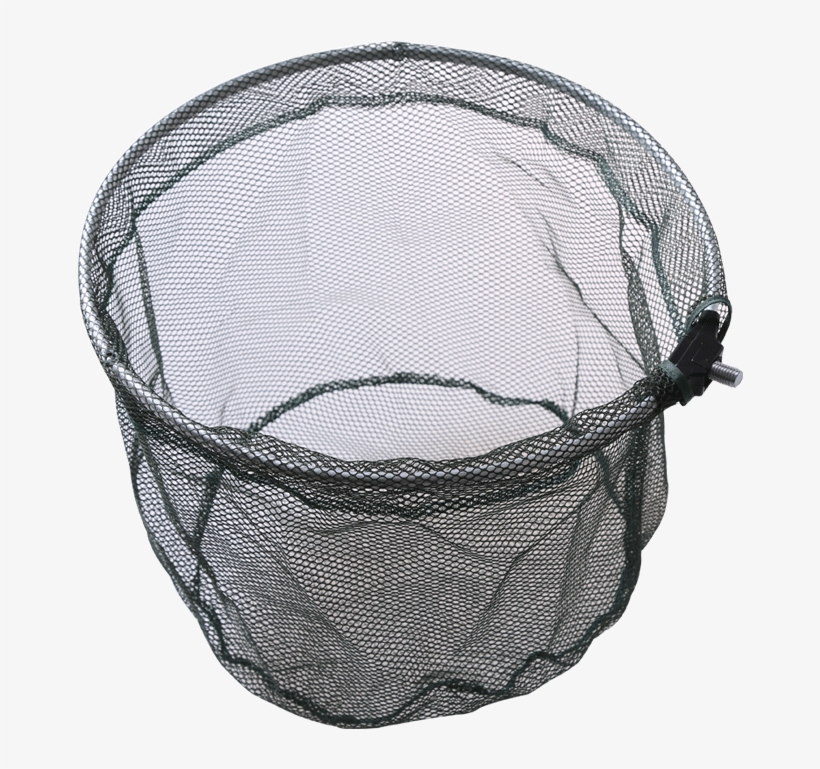 Color Classification, Single Net Head Green Net Fine - Net - Free ...