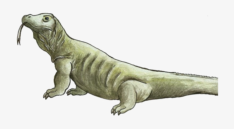 Komodo Dragon Png File - Komodo Painting - Free Transparent PNG ...