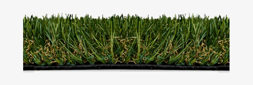 1270 Grass Banner - Artificial Turf - Free Transparent PNG Download ...