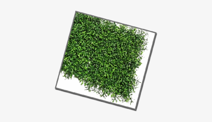 Artificial Vertical Grass Mat - Mat - Free Transparent PNG Download ...
