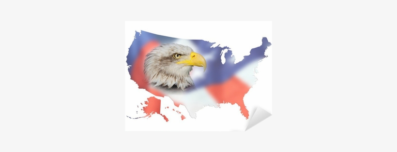 Super Bowl 42 Rooting Map - Free Transparent PNG Download - PNGkey