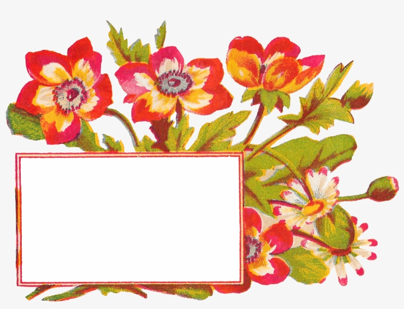 Digital Flower Label Download - Flower Design Label - Free Transparent ...