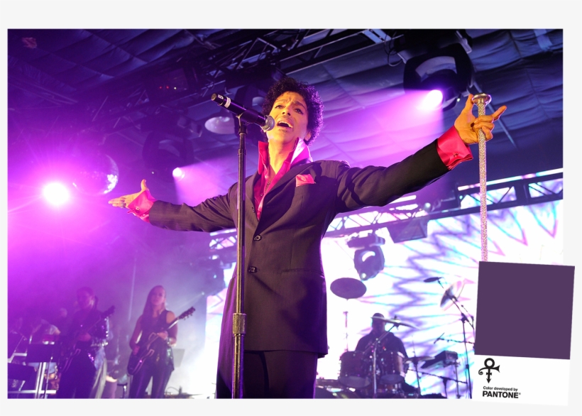 Prince - Free Transparent PNG Download - PNGkey