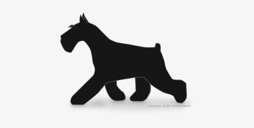 Picture - Transparent Schnauzer - Free Transparent PNG Download - PNGkey