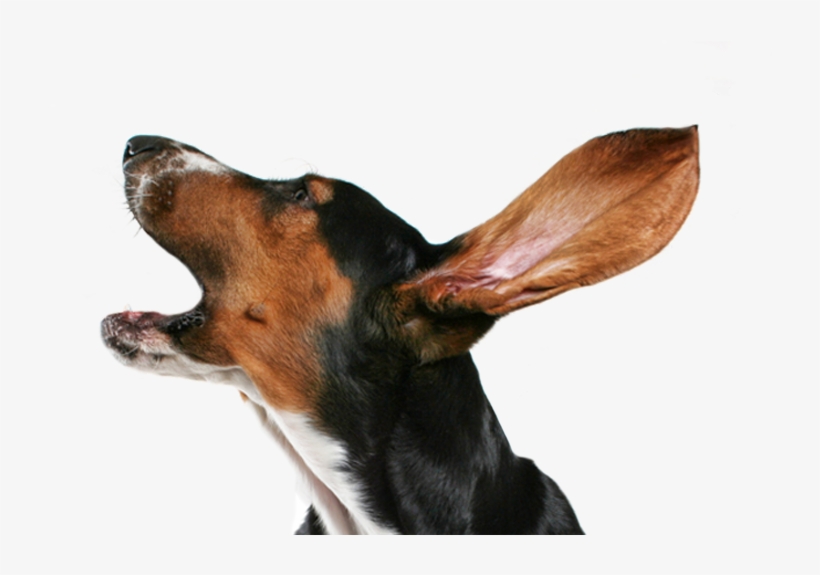 Bark Us A Line Or Two - Dog Barking No Background - Free Transparent ...