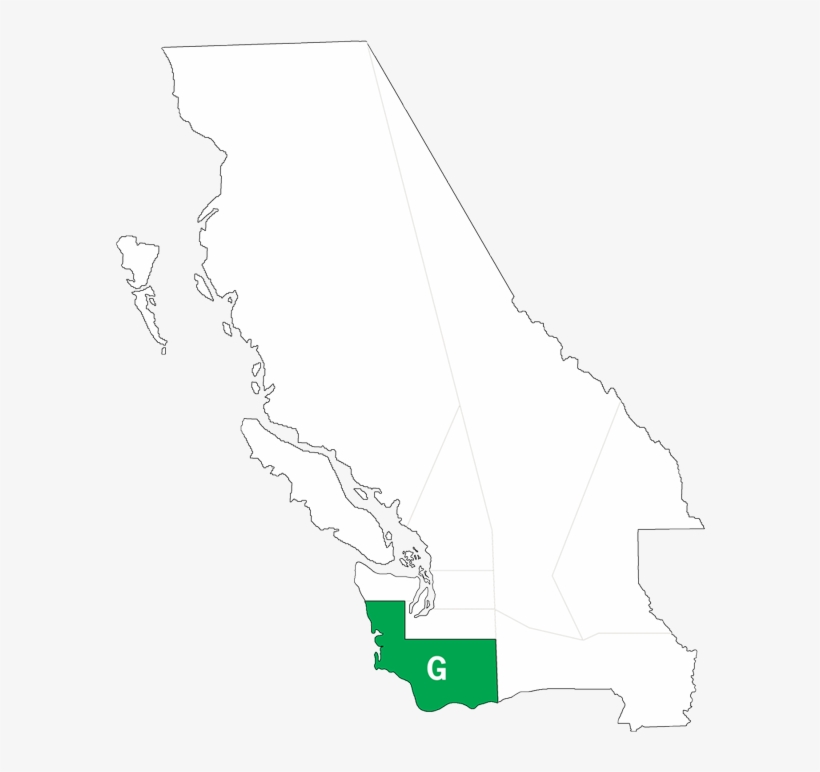 Md19 Map Md19 Logo - Document - Free Transparent PNG Download - PNGkey