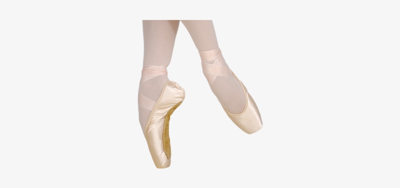 Pf Pro Flex - Pointe Grishko 2007 Pro - Free Transparent PNG Download ...