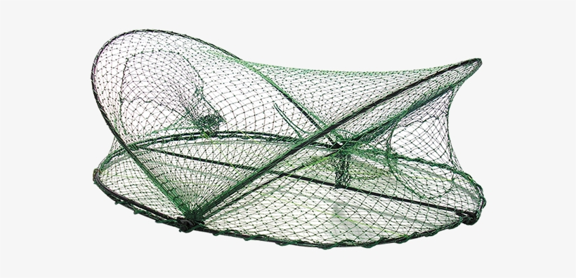 Opera House Net - Opera - Free Transparent PNG Download - PNGkey