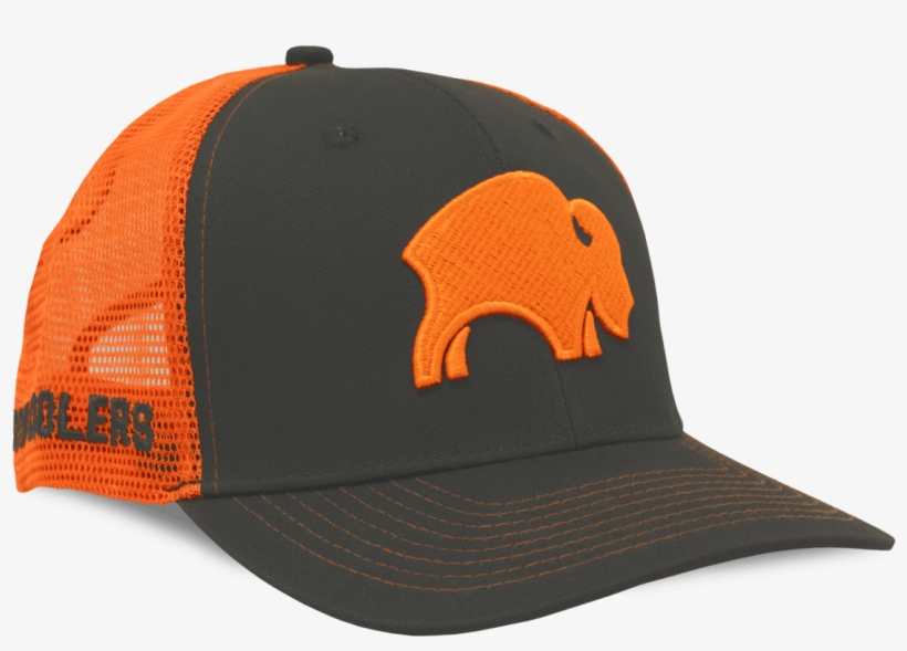 Bison Cap - Free Transparent PNG Download - PNGkey