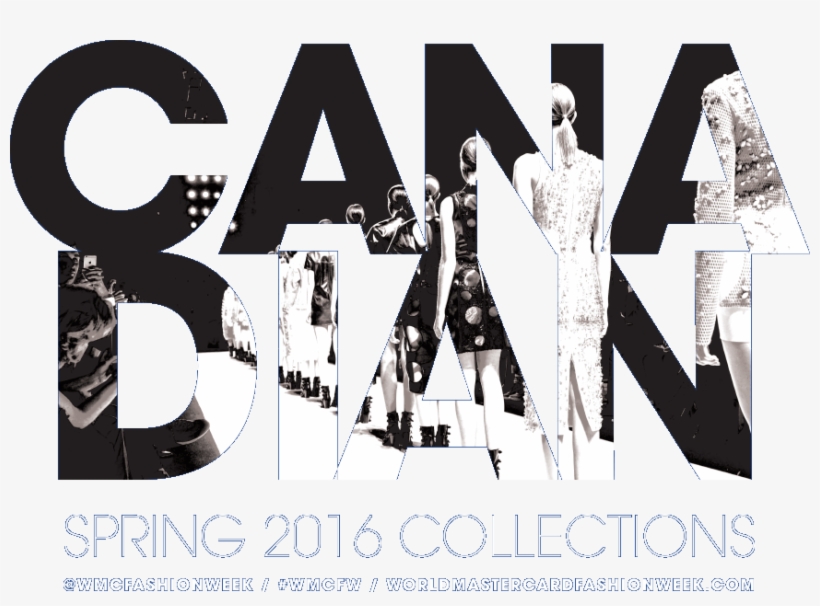 Grey Goose - Poster - Free Transparent PNG Download - PNGkey