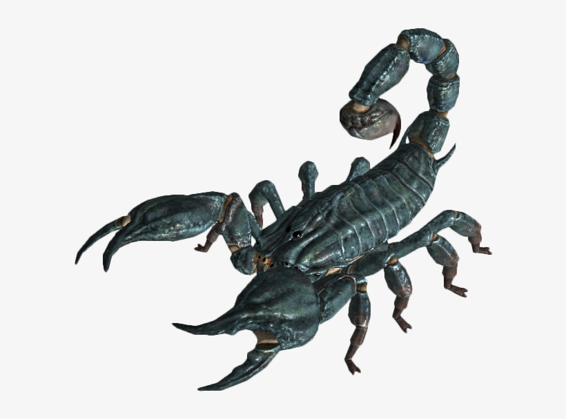 Fallout 4 Radscorpion Png - Free Transparent PNG Download - PNGkey