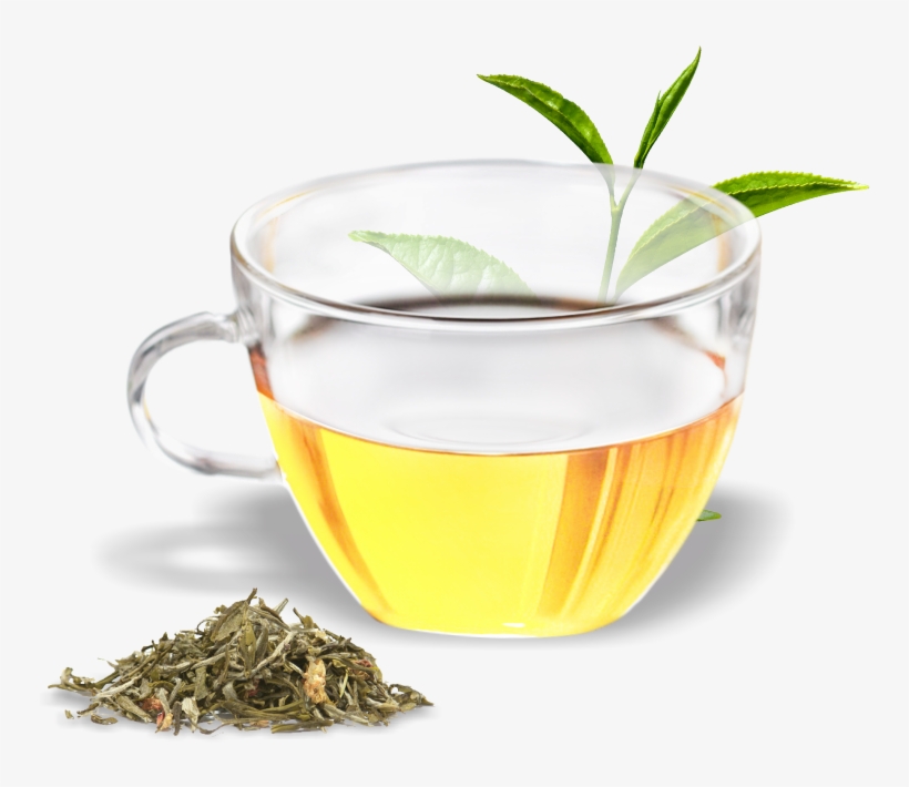 Herbal Tea Png - Free Transparent PNG Download - PNGkey