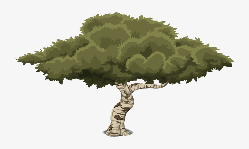 Preview - 2d Game Tree Png - Free Transparent PNG Download - PNGkey