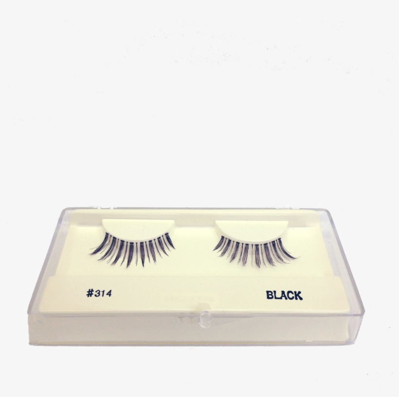 Eyelash Extensions - Free Transparent PNG Download - PNGkey