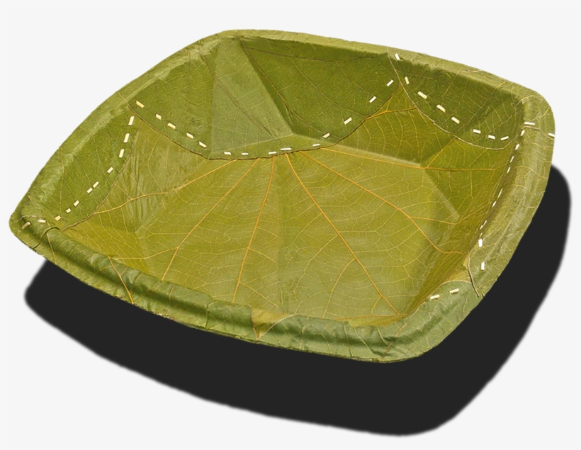 Leaf Republic Plates - Free Transparent PNG Download - PNGkey