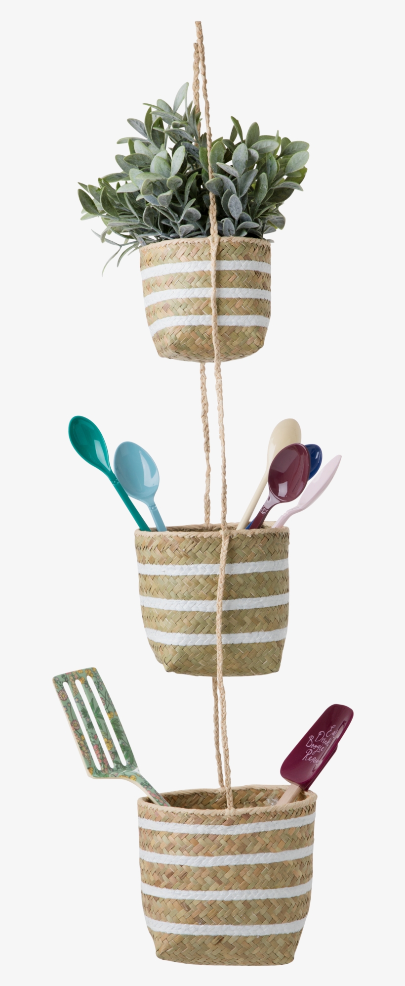 Basket - Free Transparent PNG Download - PNGkey