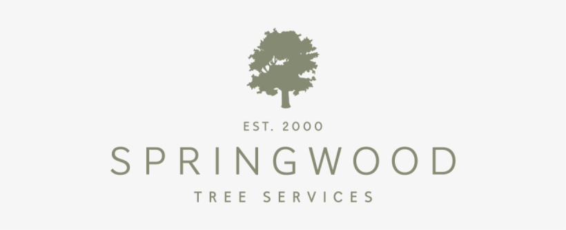 Cropped Springwood Tree Main Green E1541278552594 - Tree - Free ...