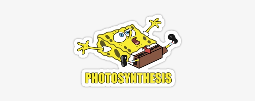 Spongebob Photosynthesis Transparent - Free Transparent PNG Download ...