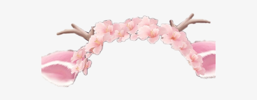 Emoji Snapchat Snap Snapshot Snapchatselfie - Emoji - Free Transparent ...