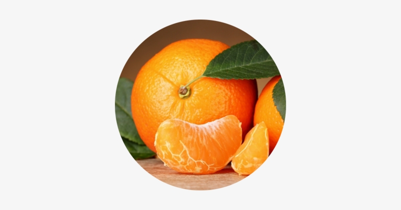 Tangerine - Mandarynka Png - Free Transparent PNG Download - PNGkey