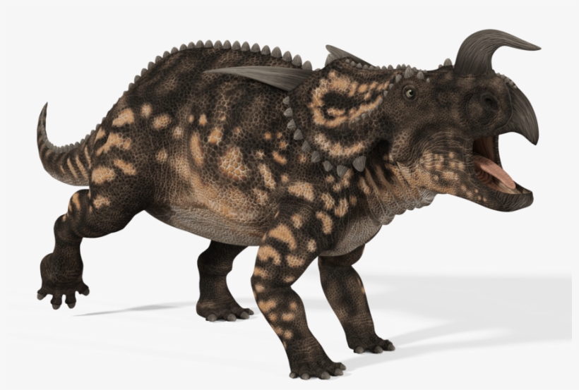 Einiosaurus - Posterazzi Einiosaurus Dinosaur White Background Poster ...