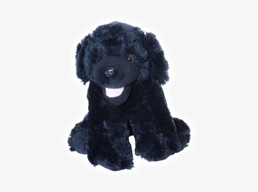 8" Recordable Black Lab Puppy - Free Transparent PNG Download - PNGkey