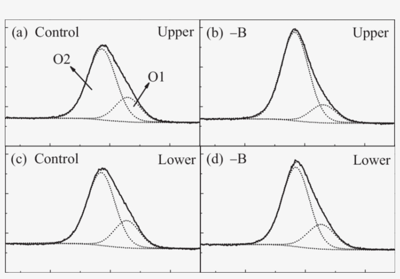 Deconvoluted High Resolution Xps O1s Spectrum Of Control - Diagram ...