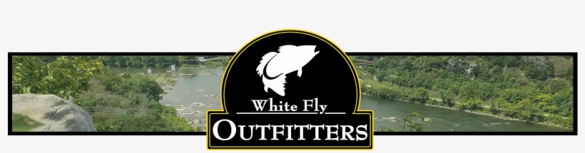 Sturgeon - Free Transparent PNG Download - PNGkey