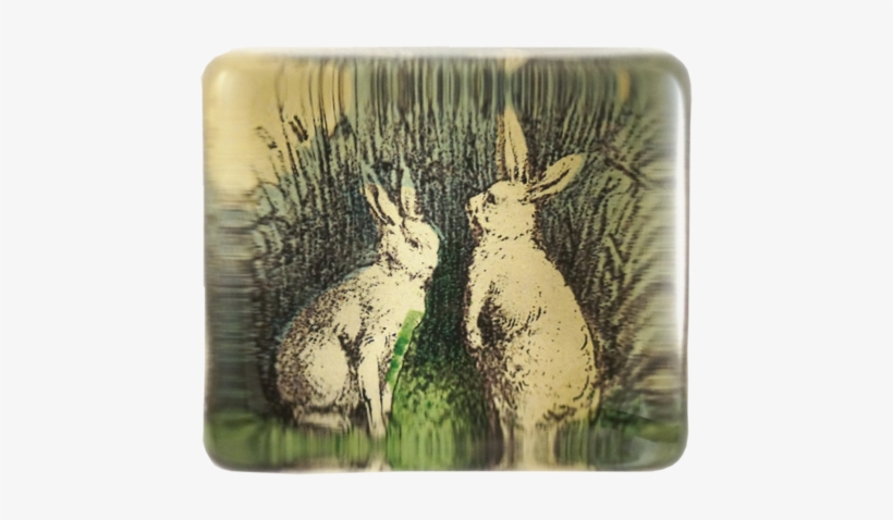 Two Rabbits Two Rabbits - Rabbit - Free Transparent PNG Download - PNGkey