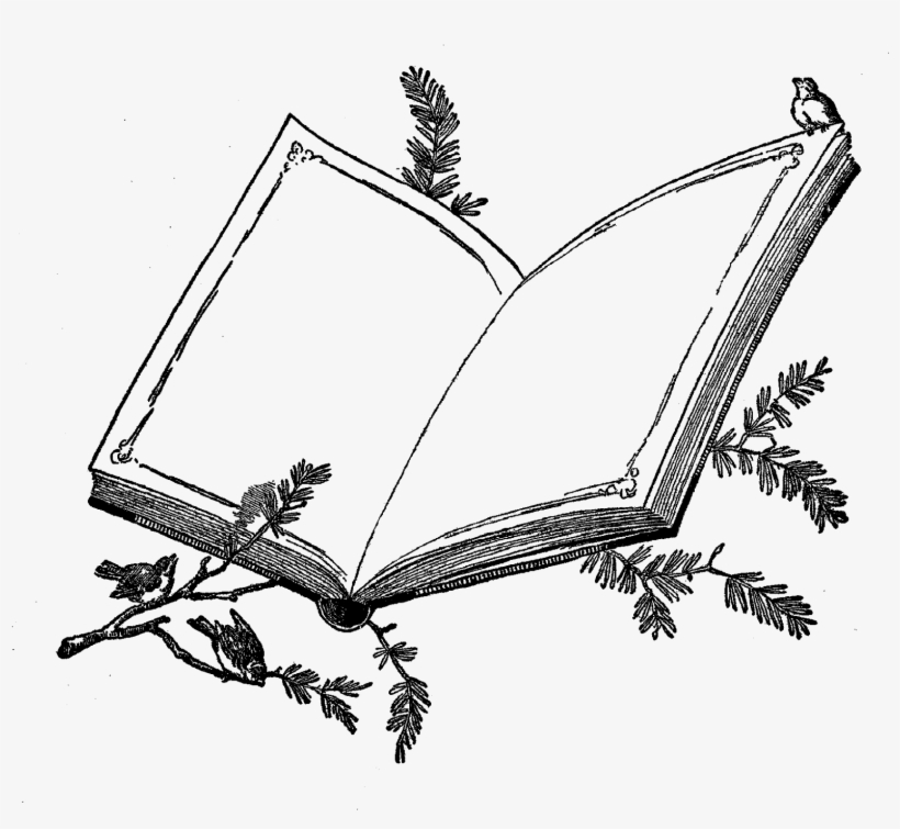 Book Frame Download Illustration - Book Frame Design - Free Transparent ...