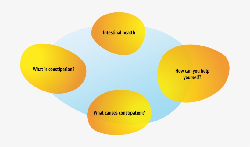 Digestive Health - Health - Free Transparent PNG Download - PNGkey
