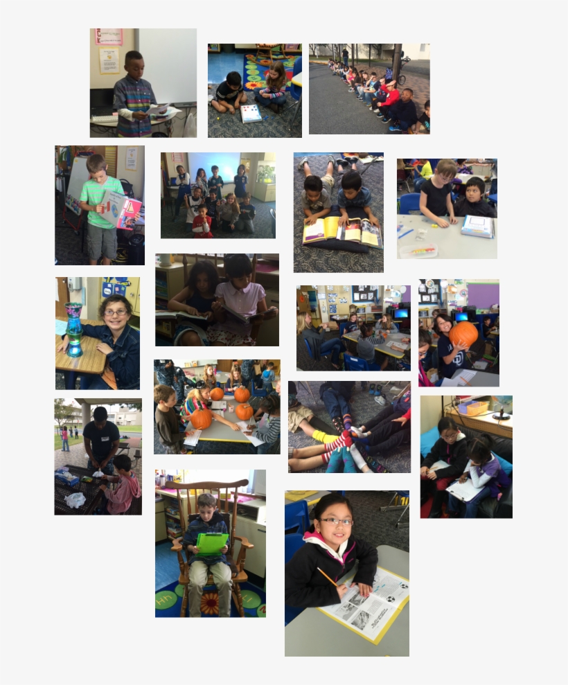 Collage - Free Transparent PNG Download - PNGkey