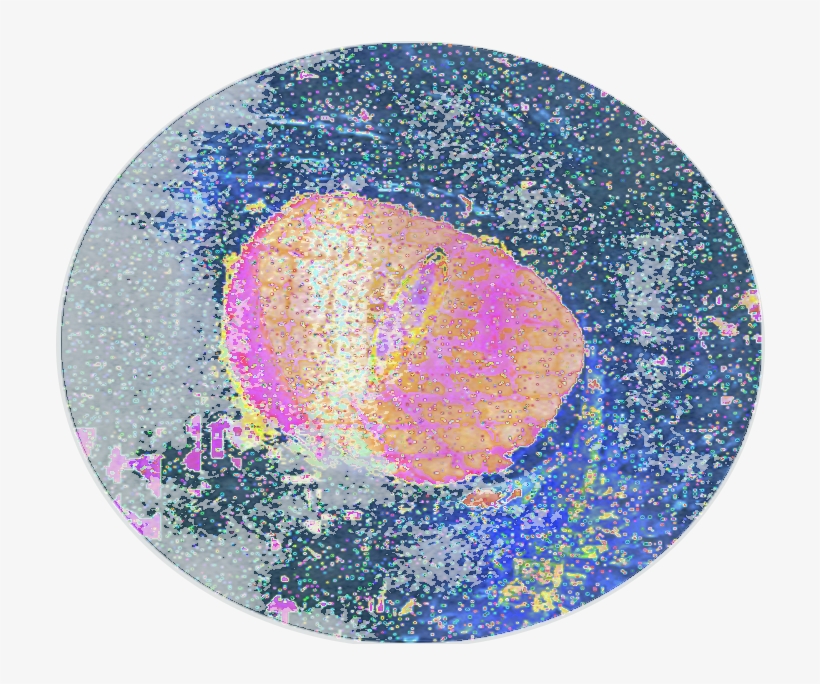 Data Moshing Digital Art Glitch Art Trippy Cat Cat - Circle - Free ...