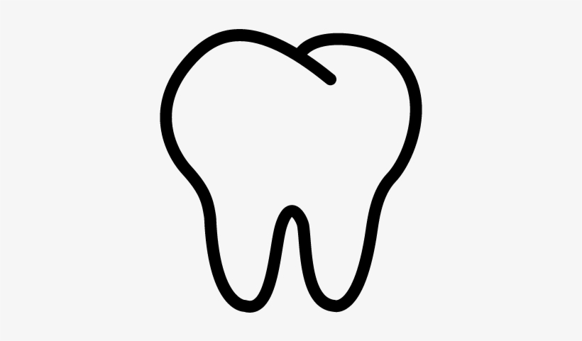 Tooth Outline Vector - Tooth Outline - Free Transparent PNG Download ...