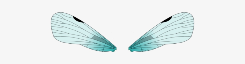 Insect Wings Png - Bug Wings Clipart - Free Transparent PNG Download ...