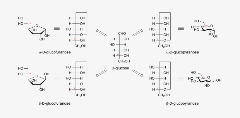 Alpha&beta Glucose - Beta D Glucose Fischer - Free Transparent PNG ...