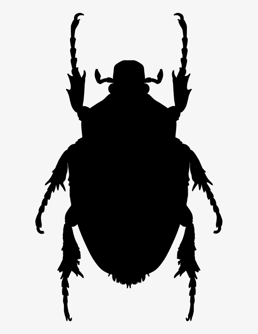 Insect Shape Of Stink Bug Comments - Stink Bug Svg - Free Transparent ...
