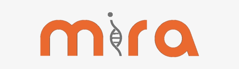 Mira - Graphic Design - Free Transparent PNG Download - PNGkey