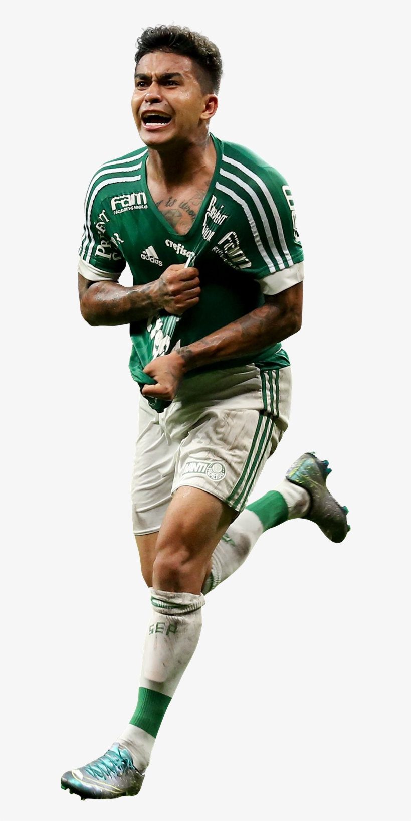 Dudu Render - Rugby Player - Free Transparent PNG Download - PNGkey