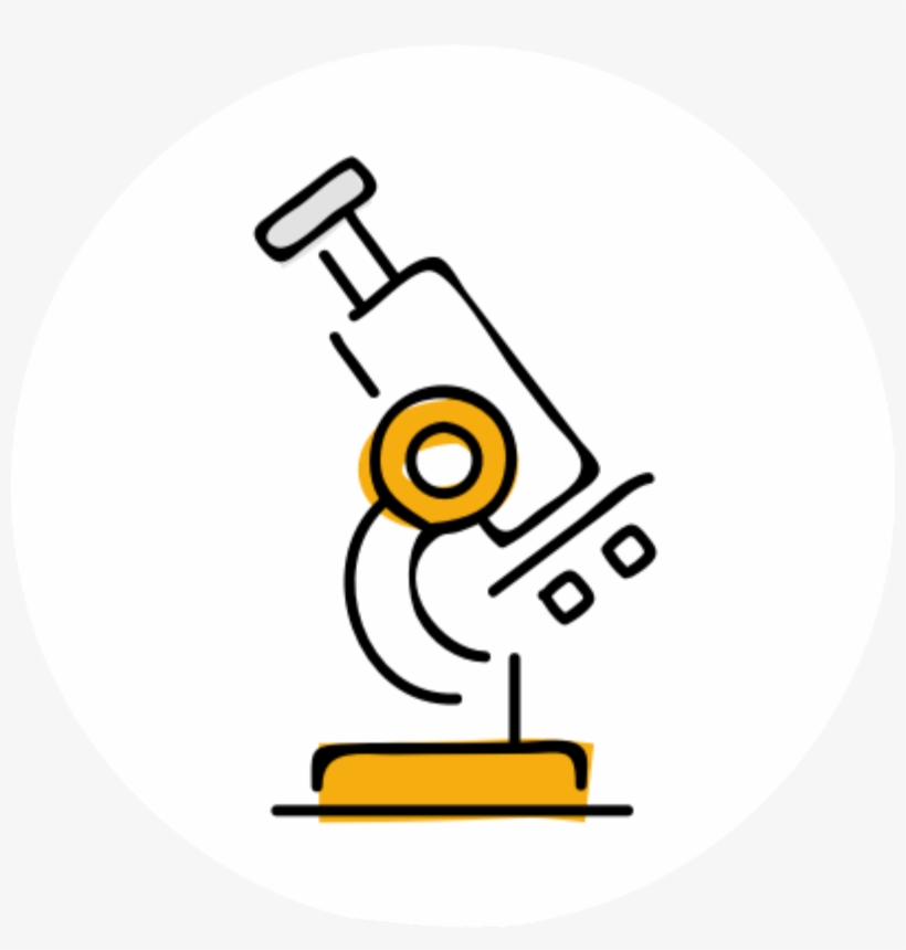 Detect - Icon - Free Transparent PNG Download - PNGkey