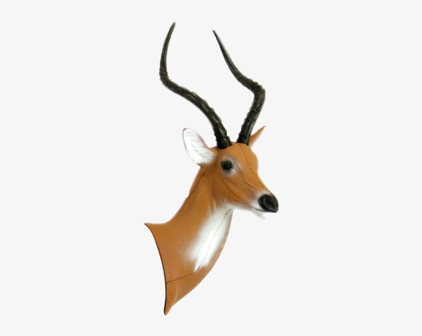 African Impala Head - Impala Archery Target - Free Transparent PNG ...